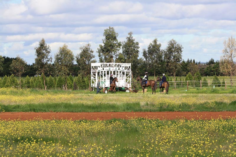 Patrick Payne Racing provides a variety of stabling options to suit all ...