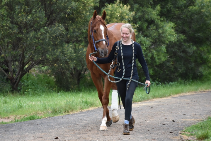 Patrick Payne Racing offers variety for horses with a practical paddock ...