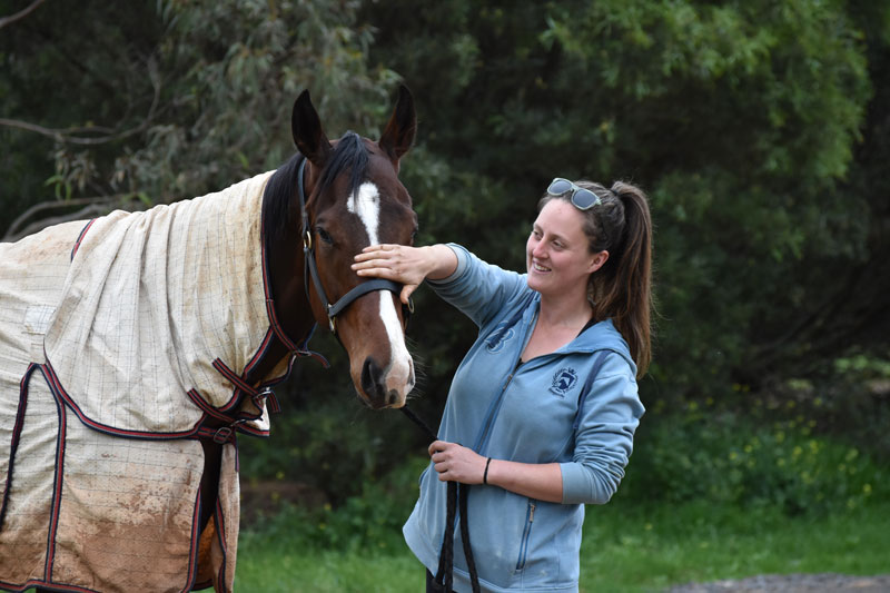 Patrick Payne Racing offers variety for horses with a practical paddock ...