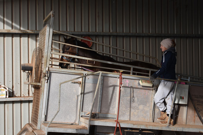 Patrick Payne Racing provides a variety of stabling options to suit all ...